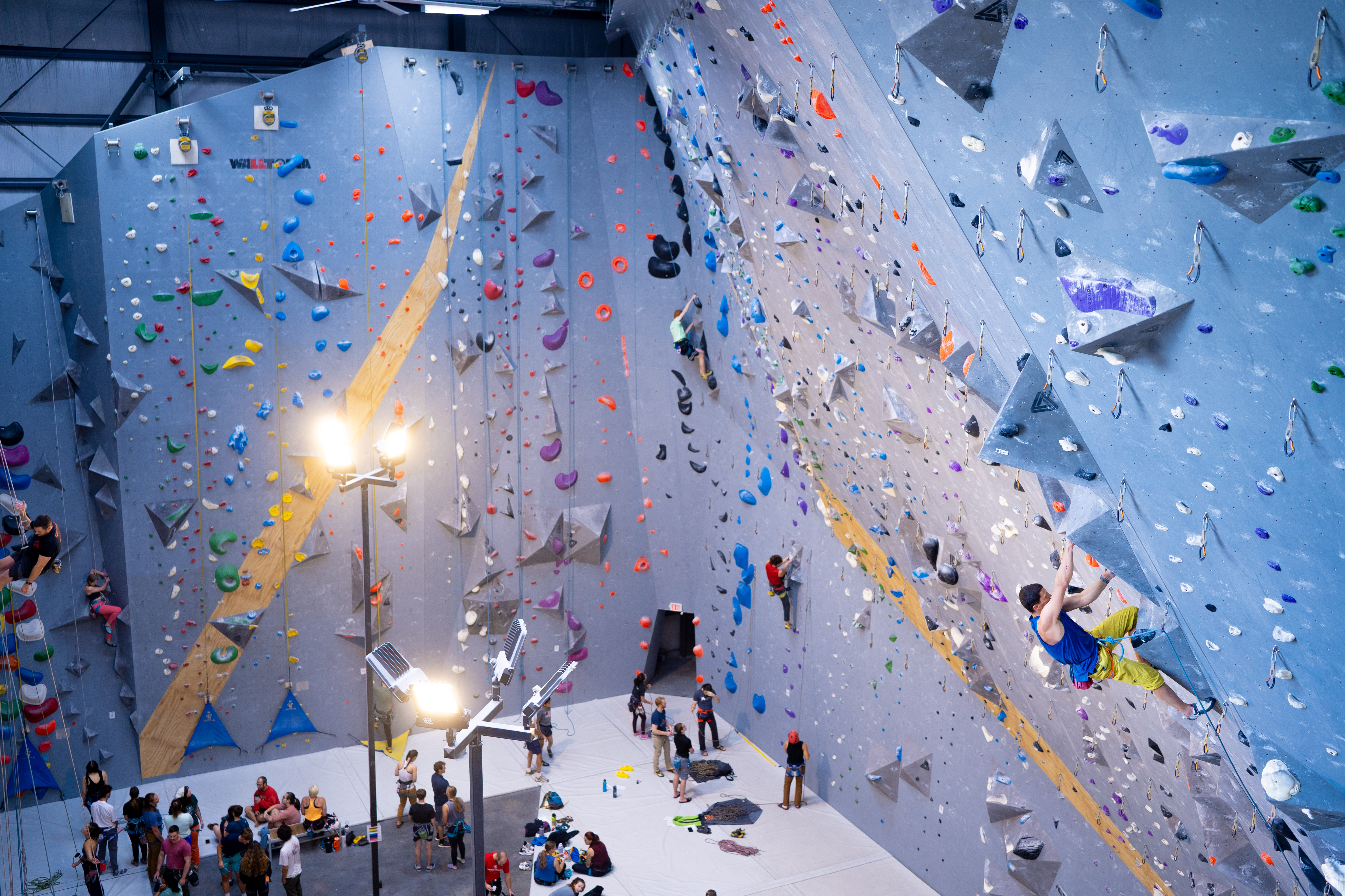 4.6★ Mosaic Climbing | Loveland Climbing Gym